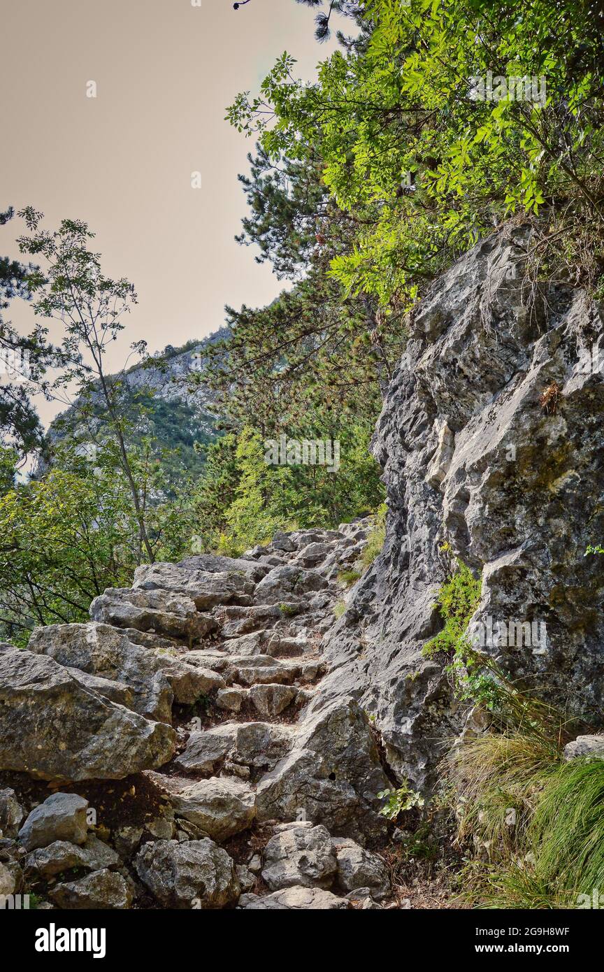 ancient hiking path in the woods, Italy, Monte Rocchetta, Bastione ...