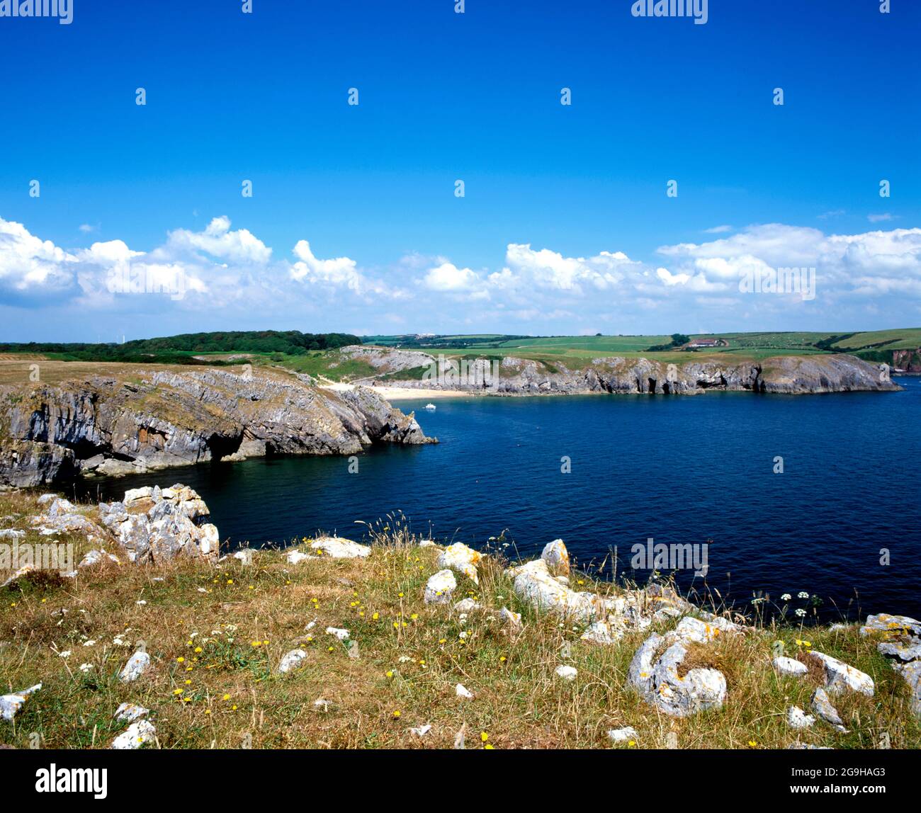 Barafundle bay pembrokeshire west wales hi-res stock photography and ...