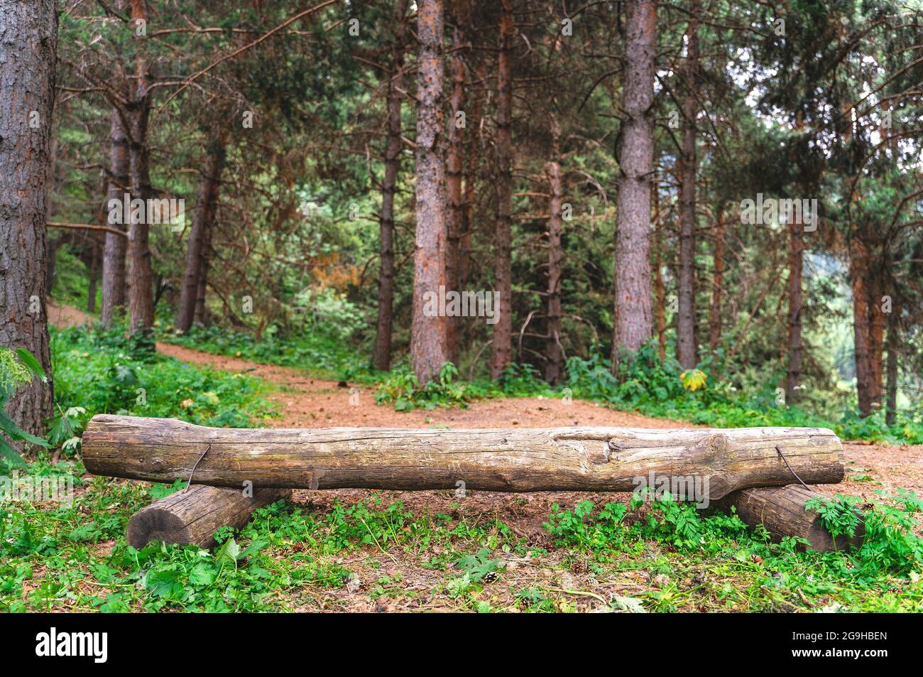 Log bench hi-res stock photography and images - Alamy