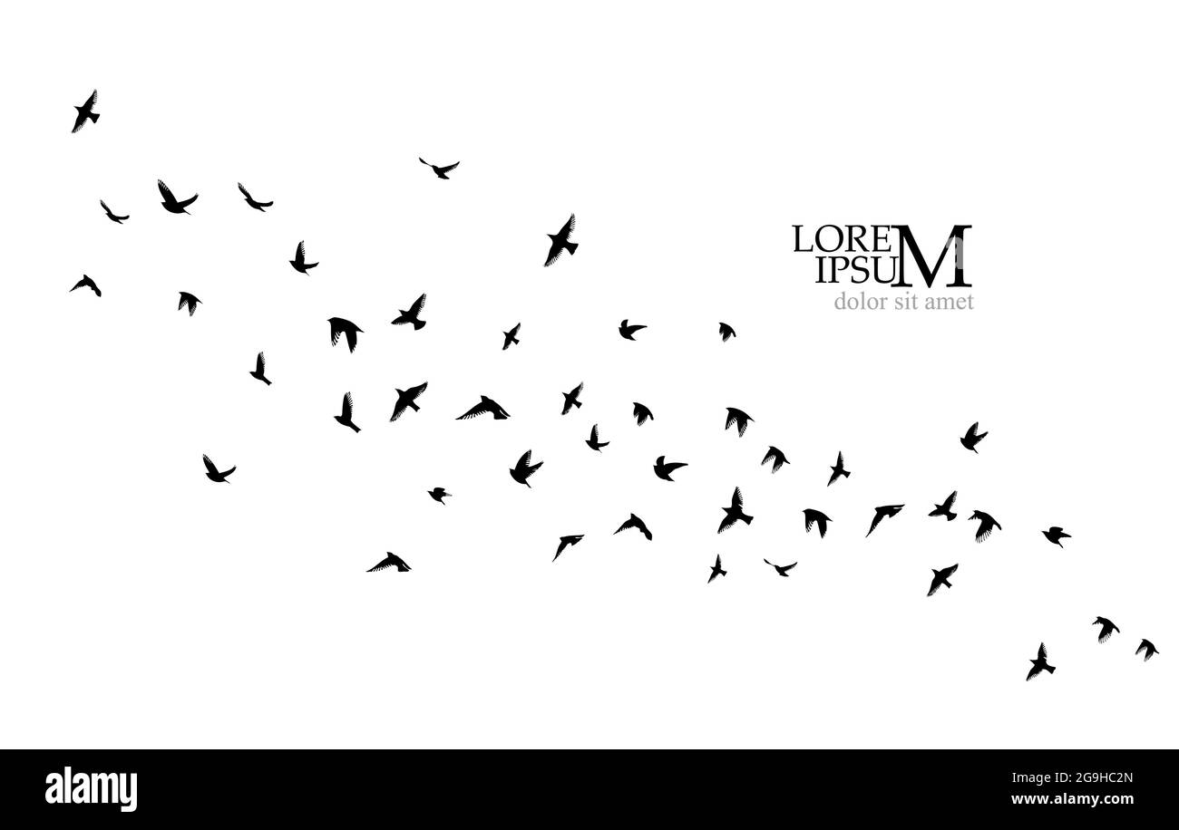 A flock of flying birds. Vector illustration Stock Vector Image & Art ...