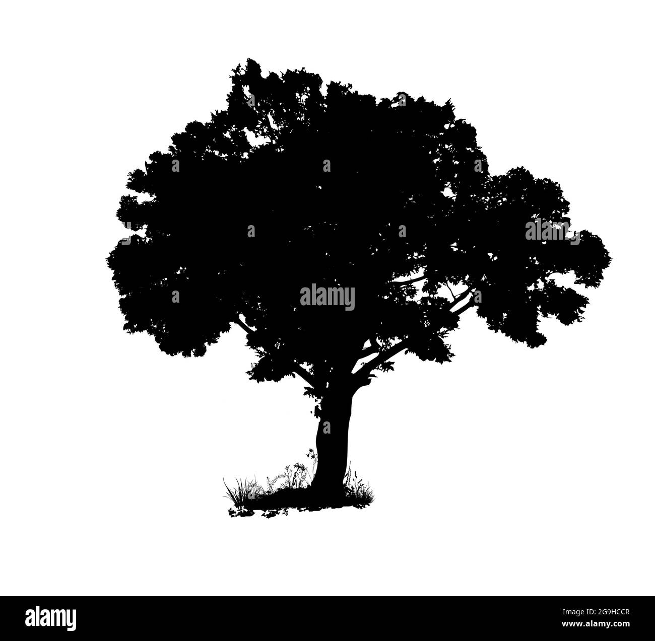 monochrome tree object. Vector illustration Stock Vector Image & Art ...