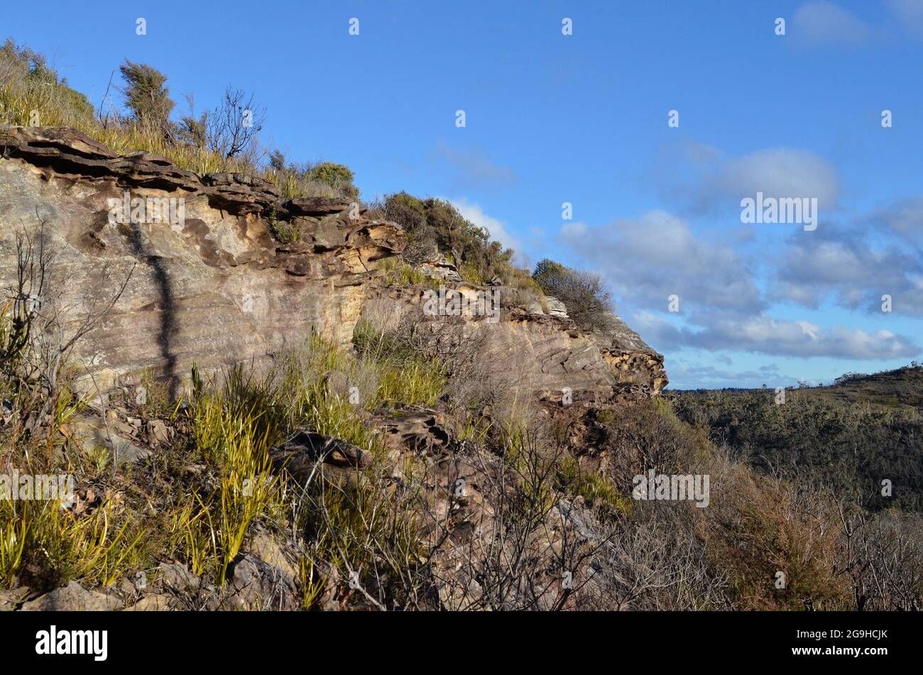 Lockleys hi-res stock photography and images - Alamy