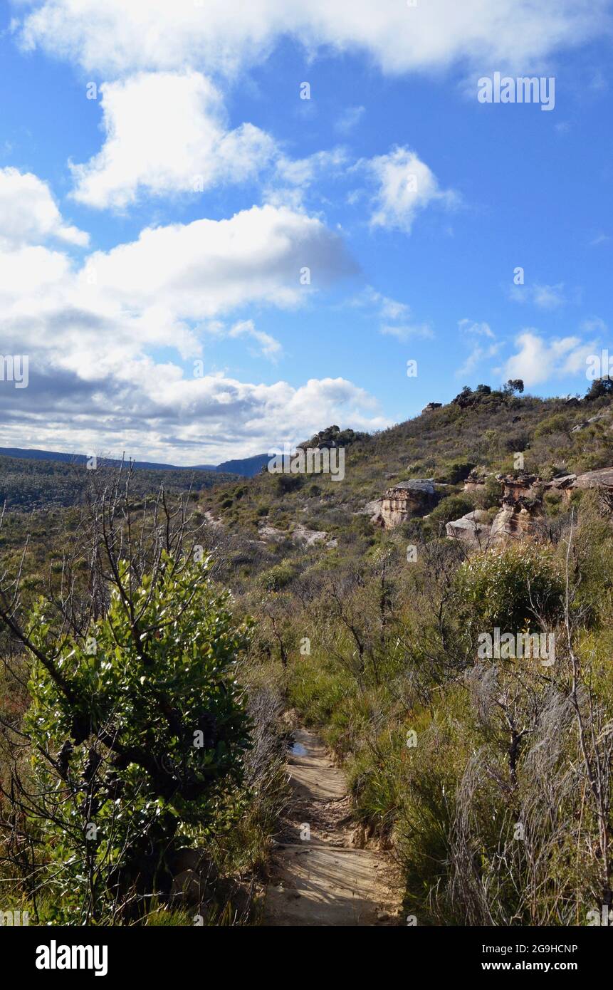 Lockleys hi-res stock photography and images - Alamy