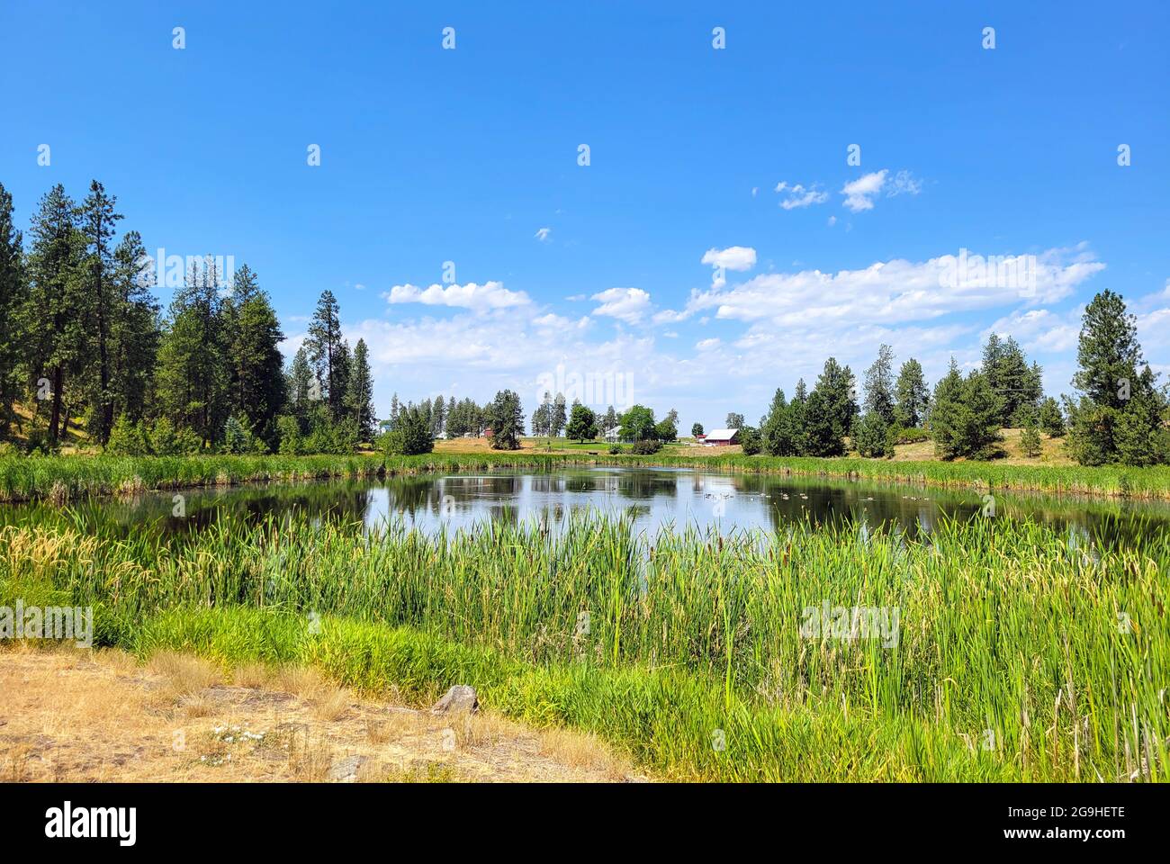 Country homes and farms around a small lake in the rural countryside ...