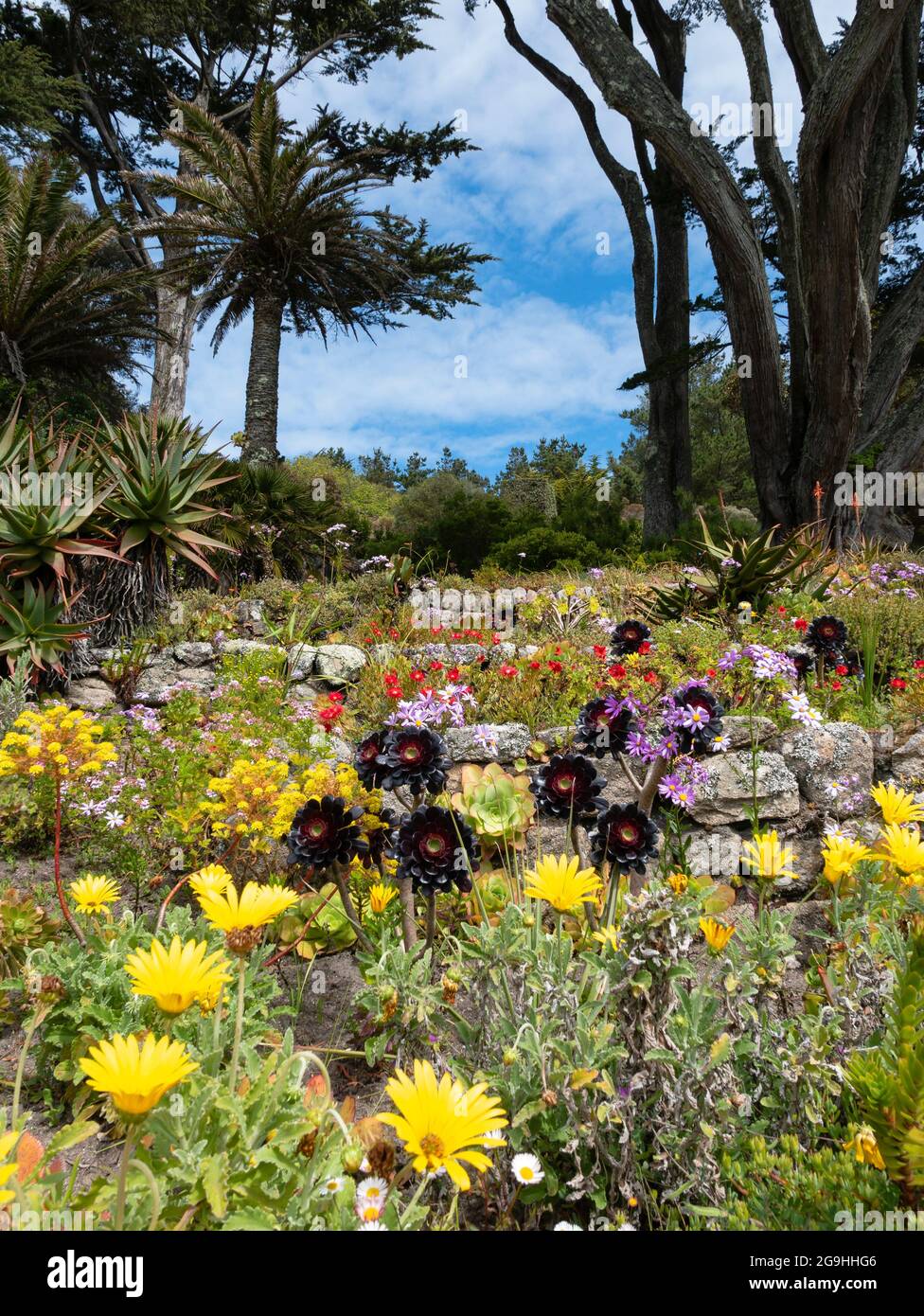Tresco Abbey Gardens, Tresco, Isles of Scilly, Cornwall, England, UK ...