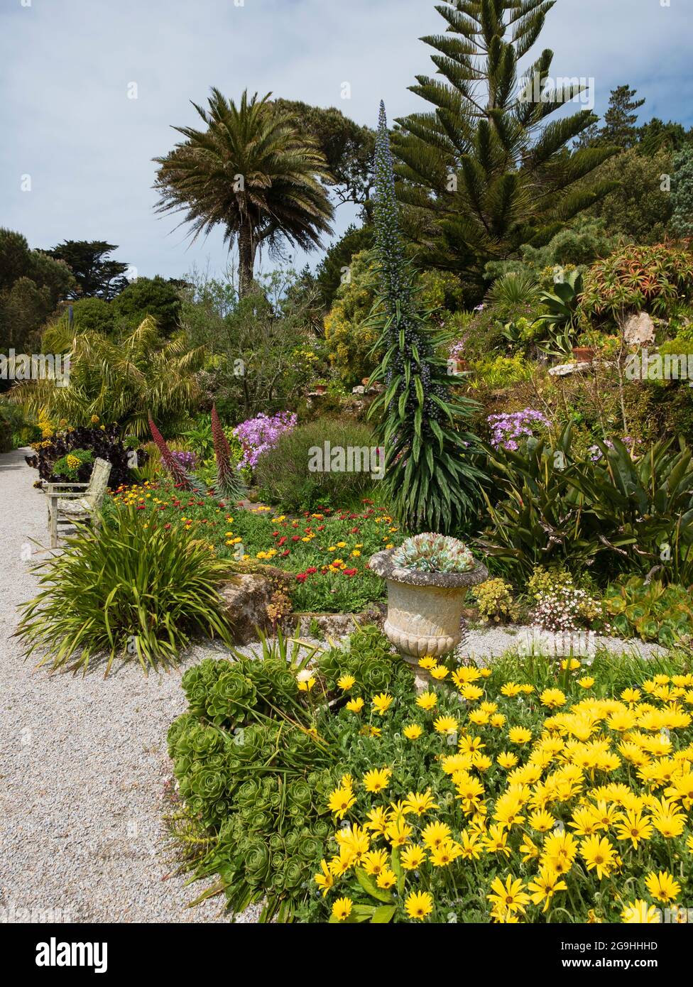 Tresco Abbey Gardens, Tresco, Isles of Scilly, Cornwall, England, UK ...