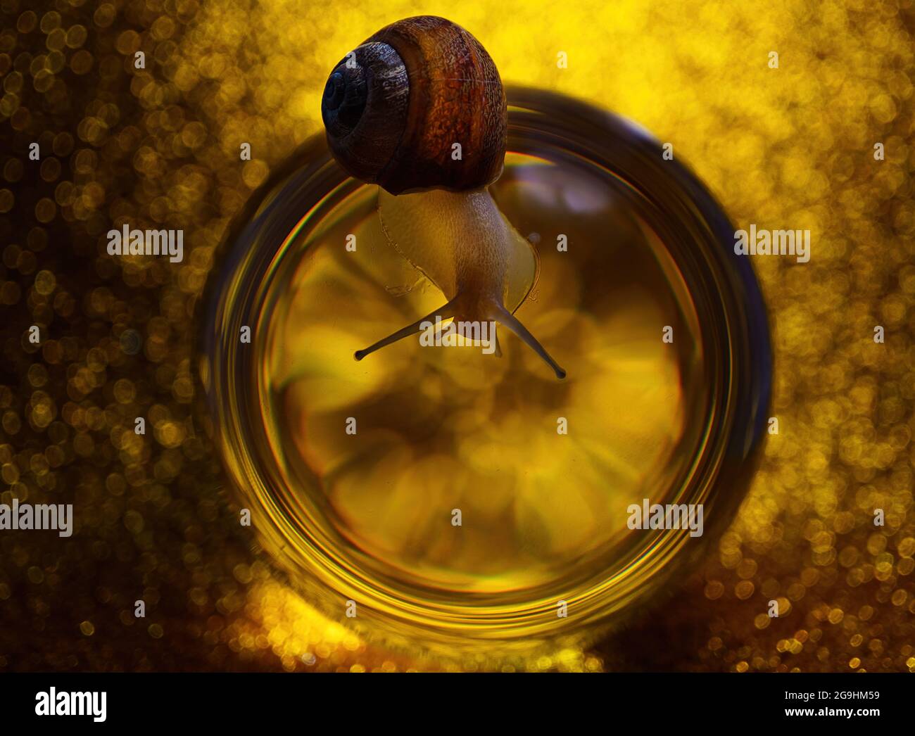 snail sliding on crystal ball and golden background Stock Photo - Alamy