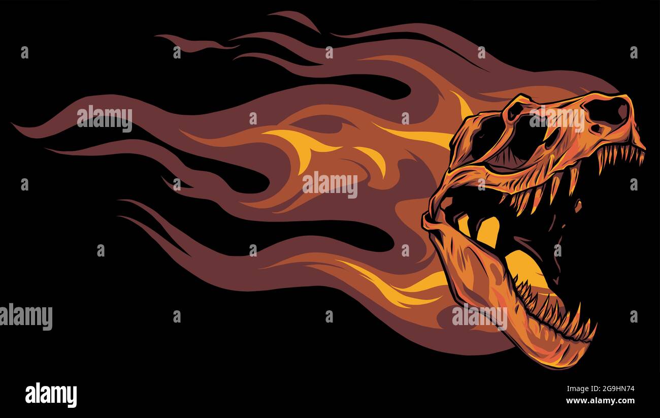 Dinosaur Skull. Drawing Of T-Rex Skull vector Stock Vector Image & Art ...