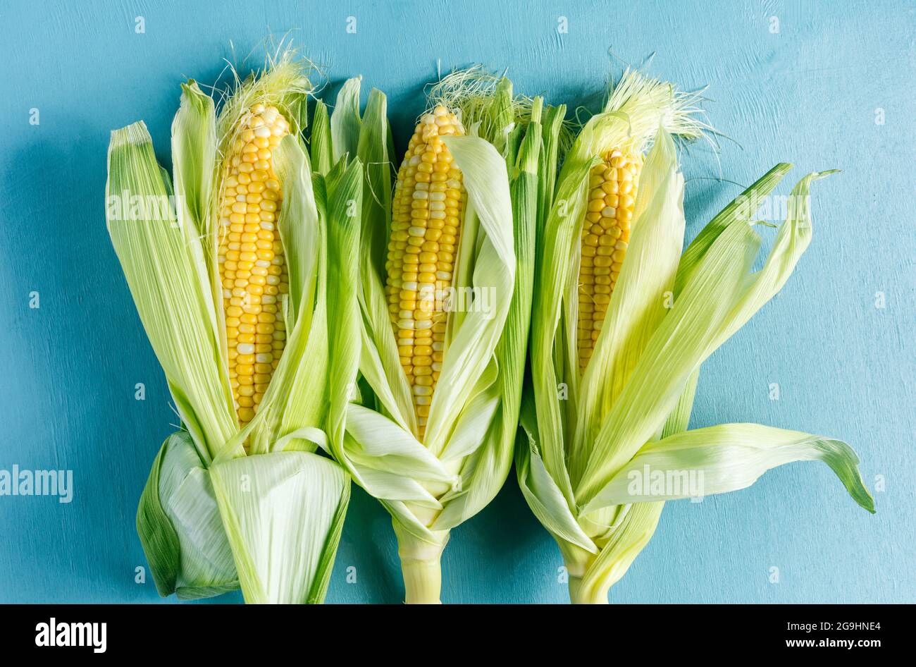 Cob on a blue hi-res stock photography and images - Alamy