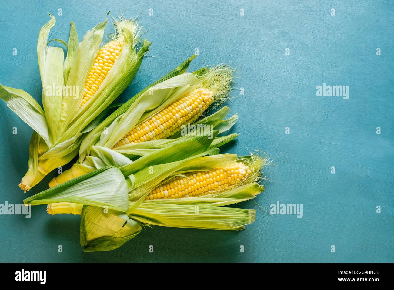 Fresh corn on the cob on a blue background Stock Photo - Alamy
