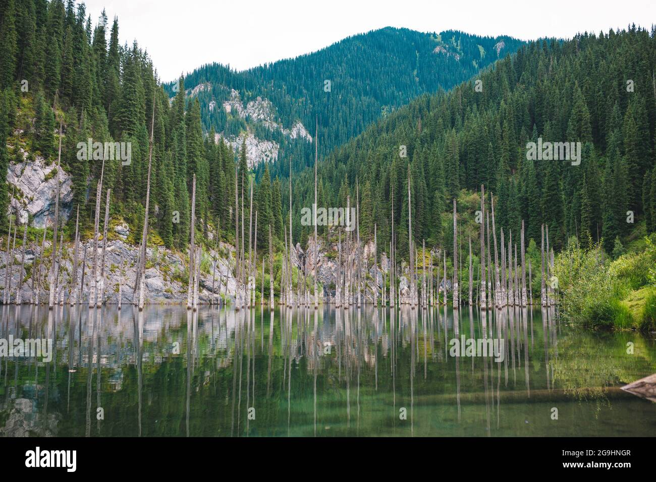 Sunken forest kazakhstan hi-res stock photography and images - Alamy