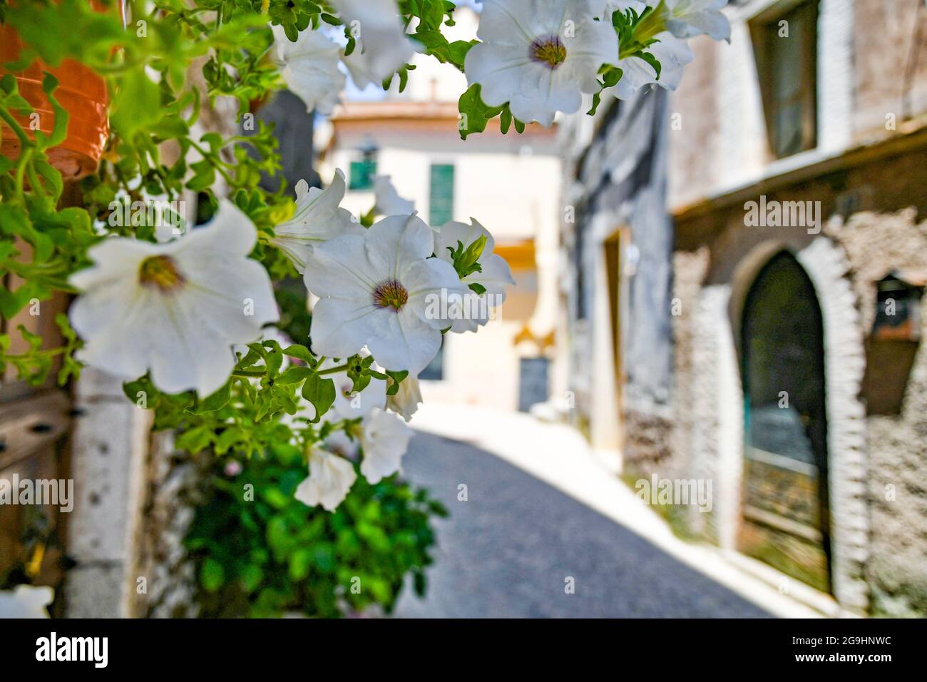 Carpineto Romano, Italy, July 24, 2021. A narrow street in the historic ...