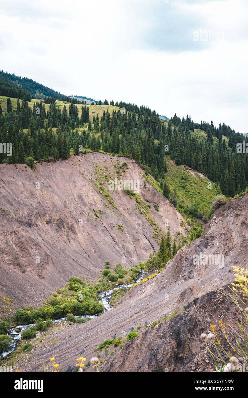 a sandy rock with trees from below with a mountain river Stock Photo ...