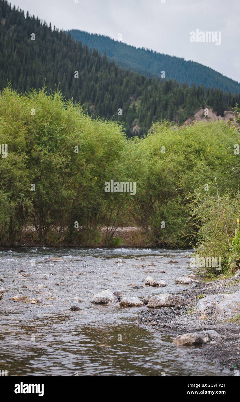 Tent among trees hi-res stock photography and images - Alamy