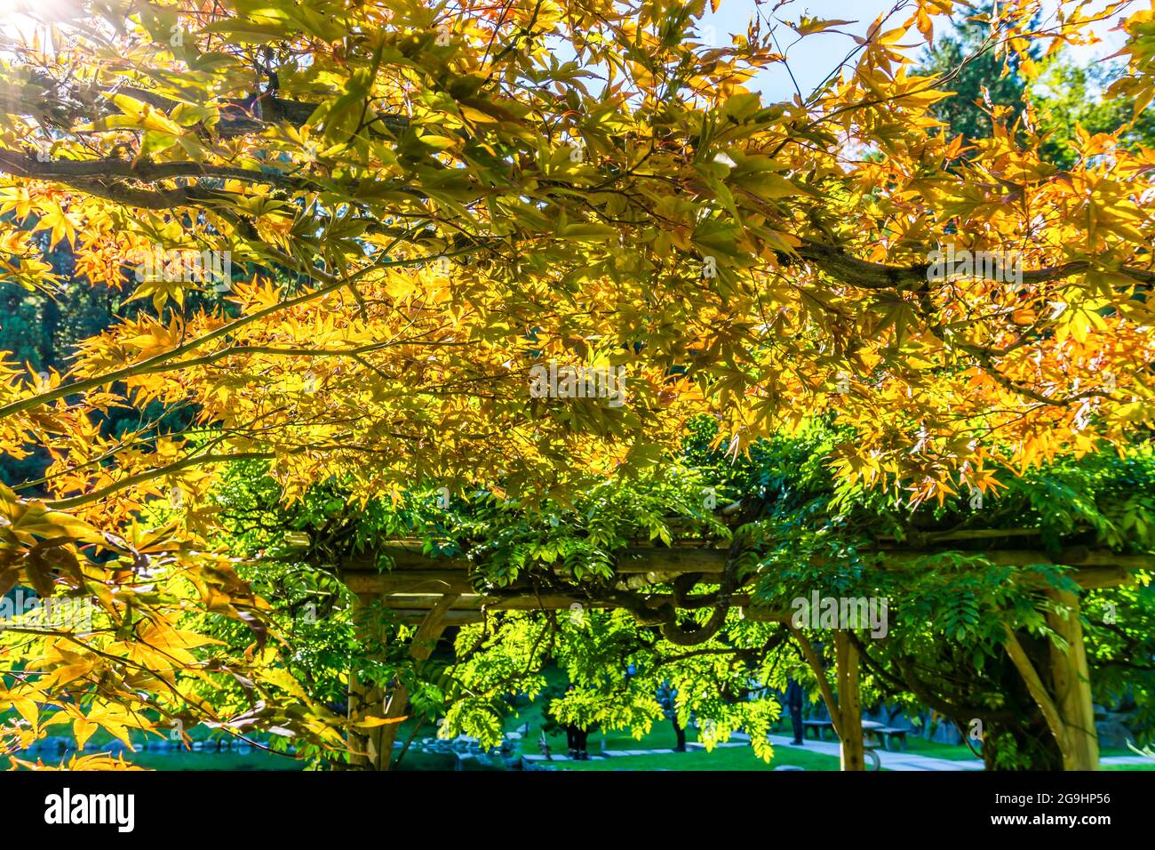 Garden through the seasons hi-res stock photography and images - Alamy