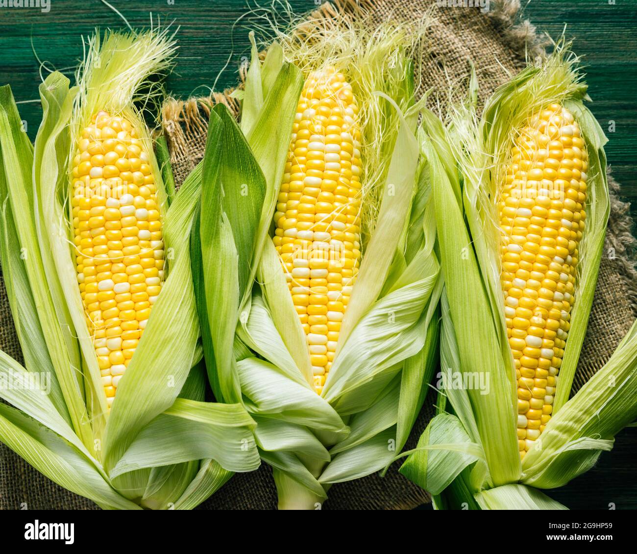 Fresh corn on the cob with green leaves Stock Photo - Alamy