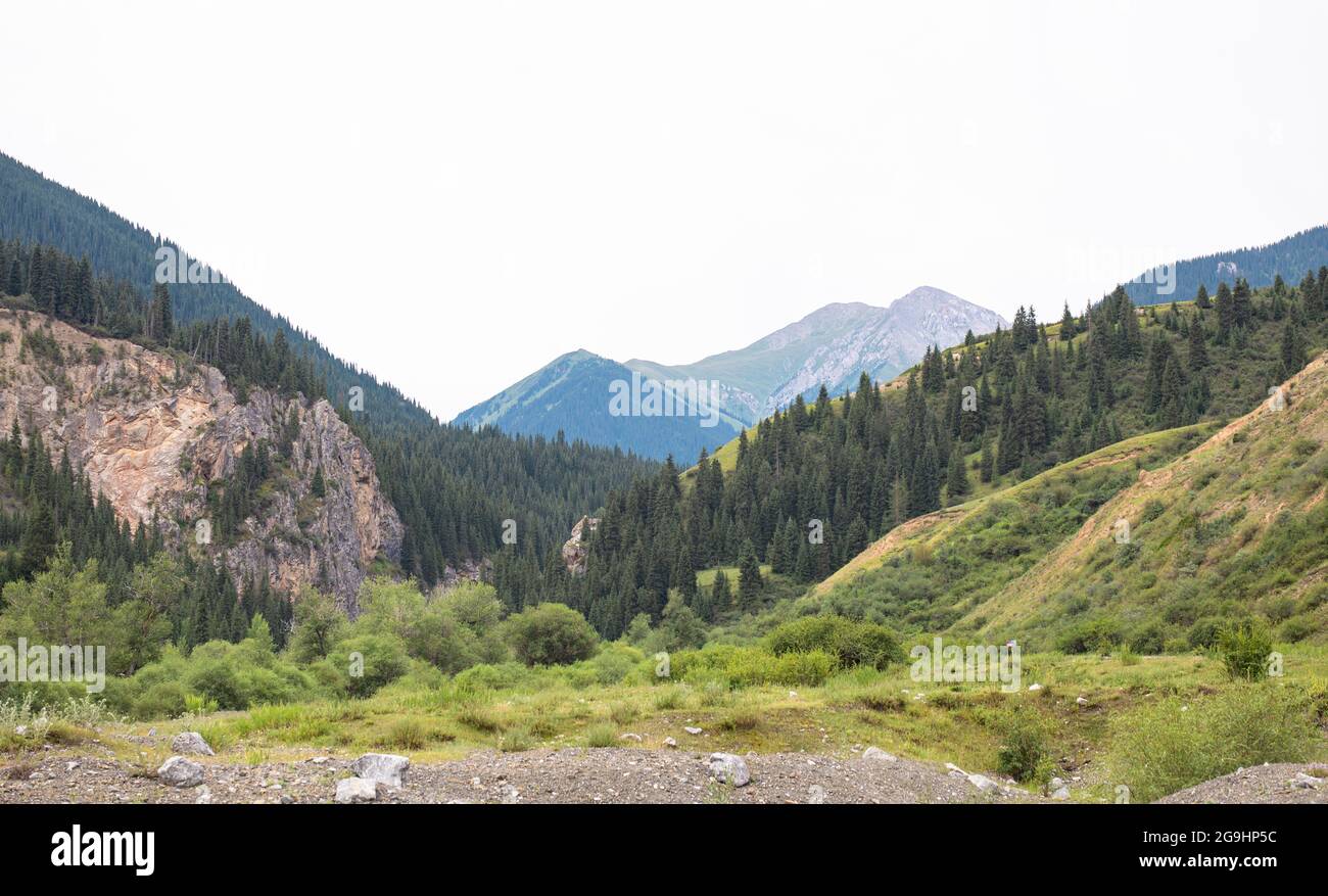 nature of Kazakhstan mountains and forests in summer Stock Photo - Alamy