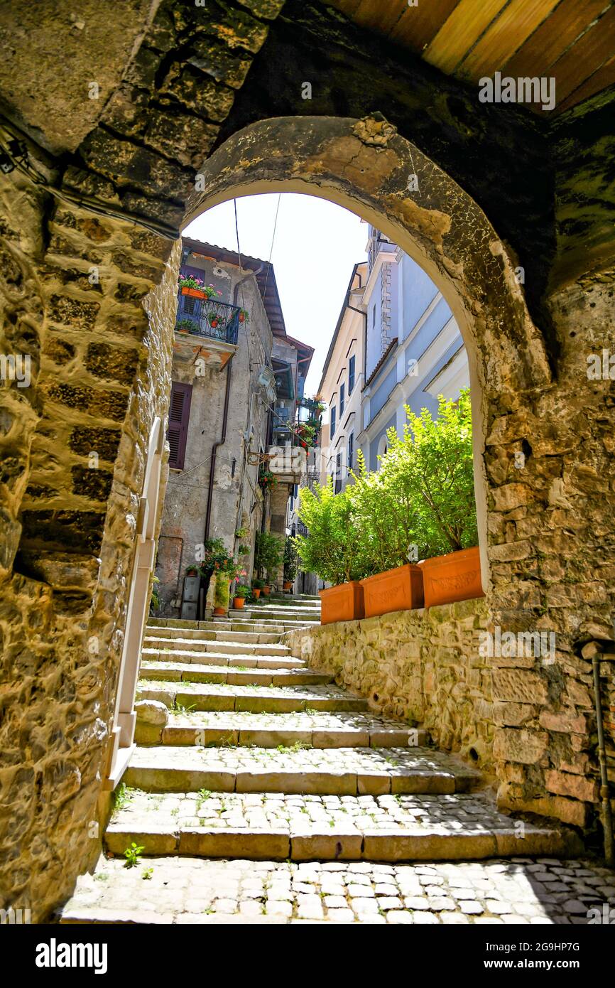 Carpineto romano hi-res stock photography and images - Alamy