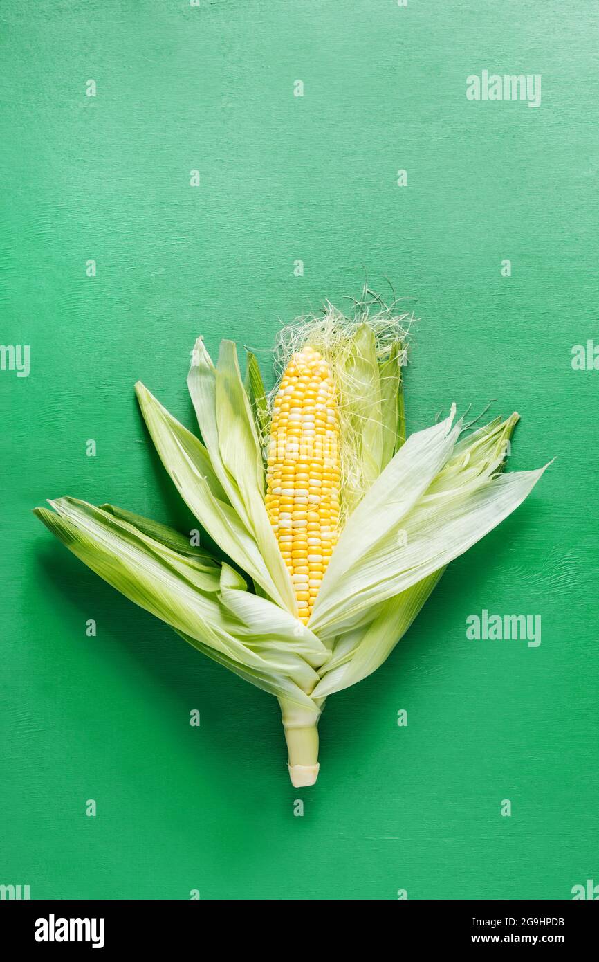 Fresh corn on the cob with green leaves Stock Photo - Alamy