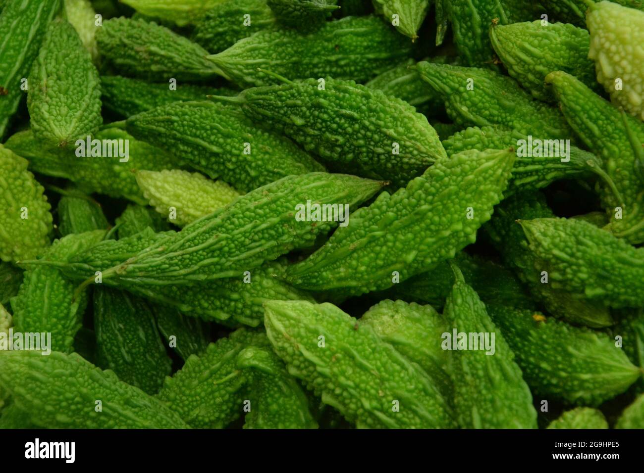 Close up of fresh green Bitter Gourds (Bitter Melon) on display at ...