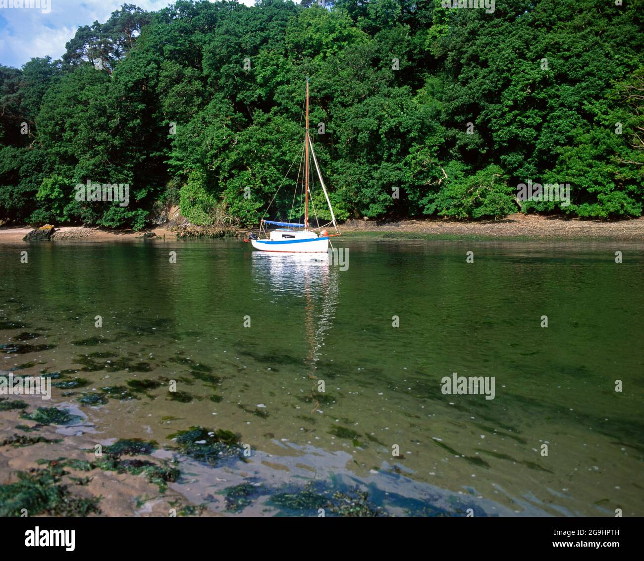 Kingston devon hi-res stock photography and images - Alamy