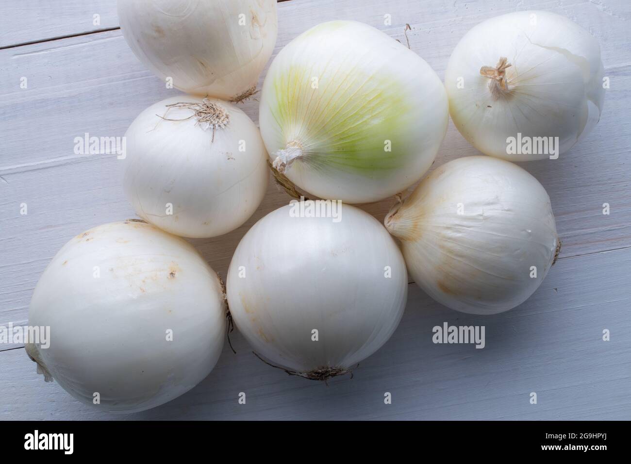 Several fragrant organic white onions, close-up, on a wooden table, top ...