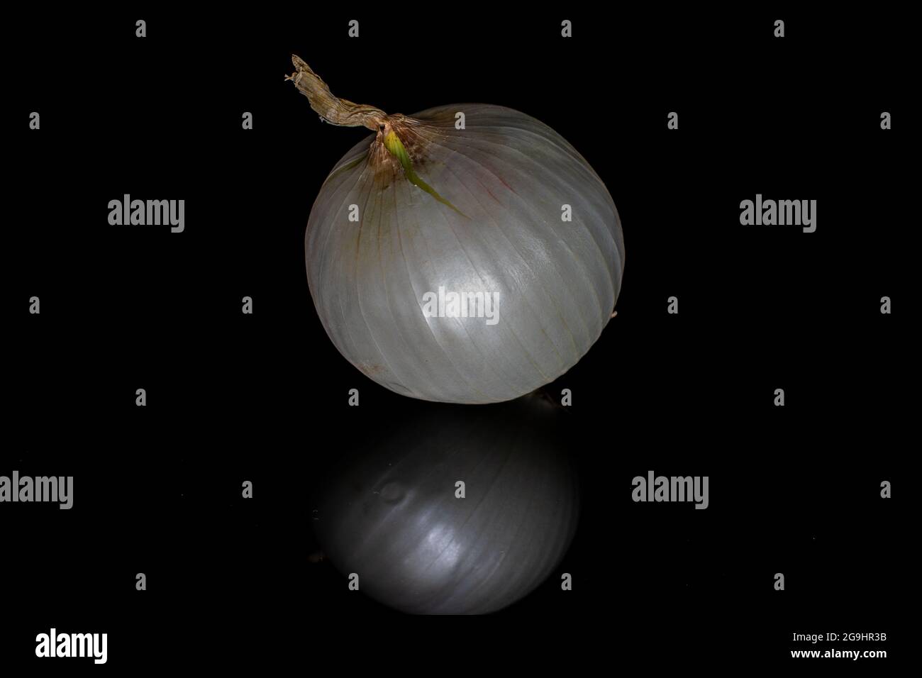 White onion close up hi-res stock photography and images - Alamy