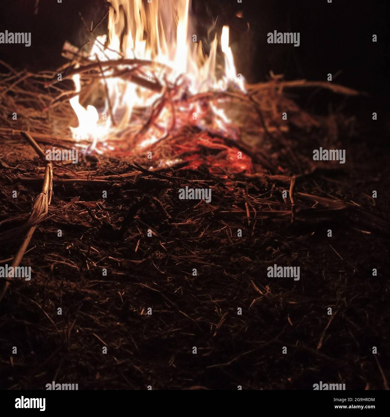 Closeup shot of a camping fire at night Stock Photo - Alamy