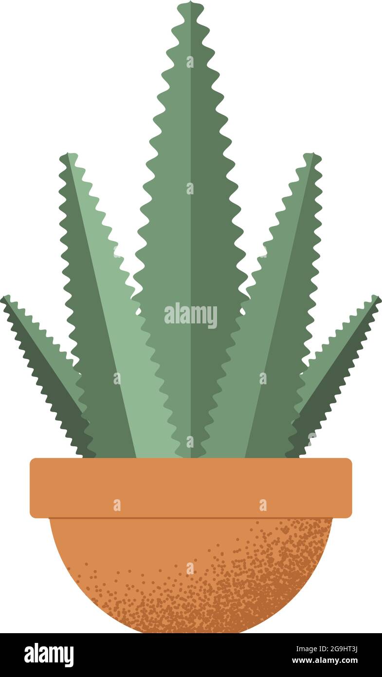 aloe plant in pot icon Stock Vector Image & Art - Alamy