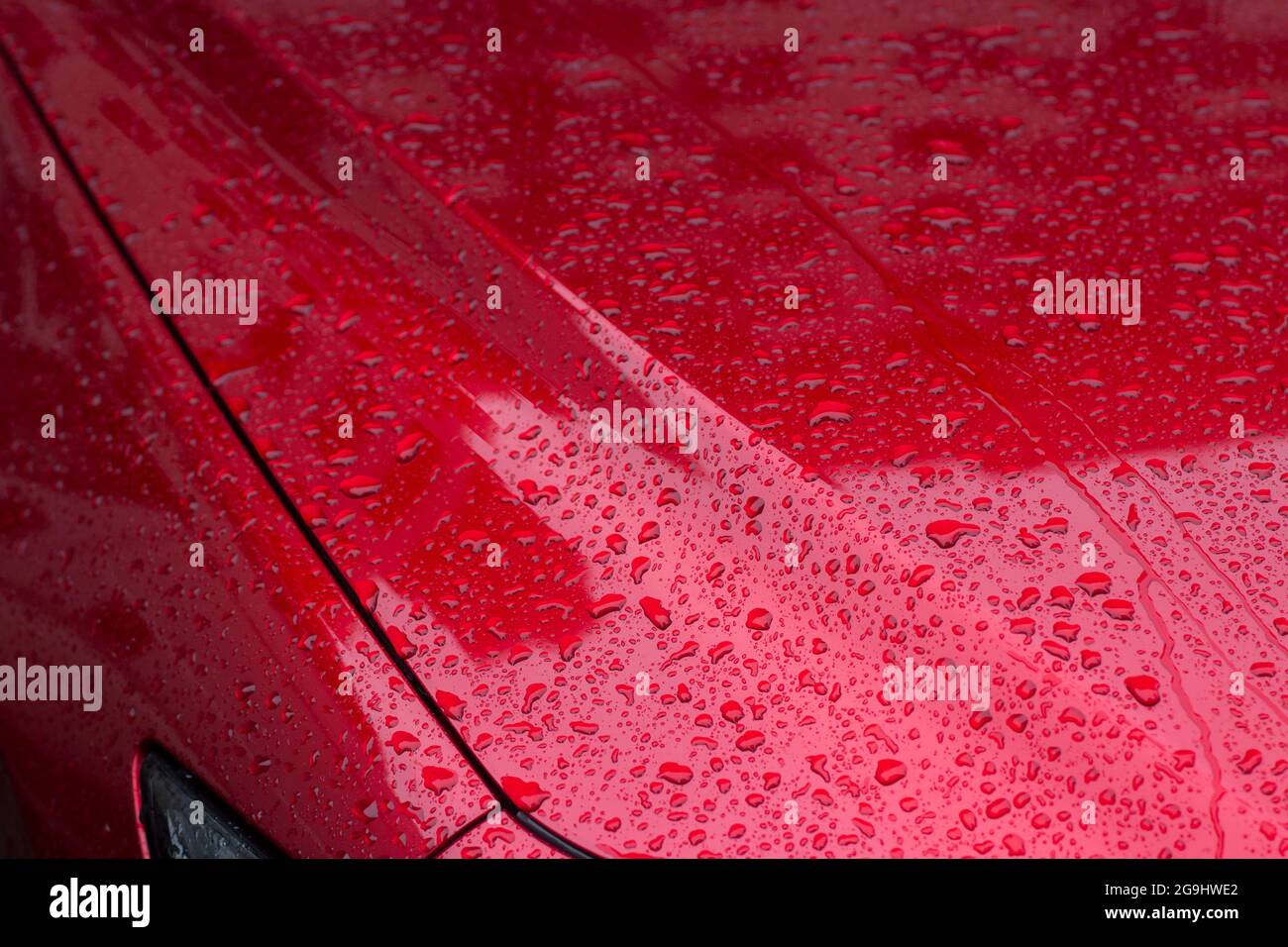 The surface of the car in raindrops. The red car is covered with water ...