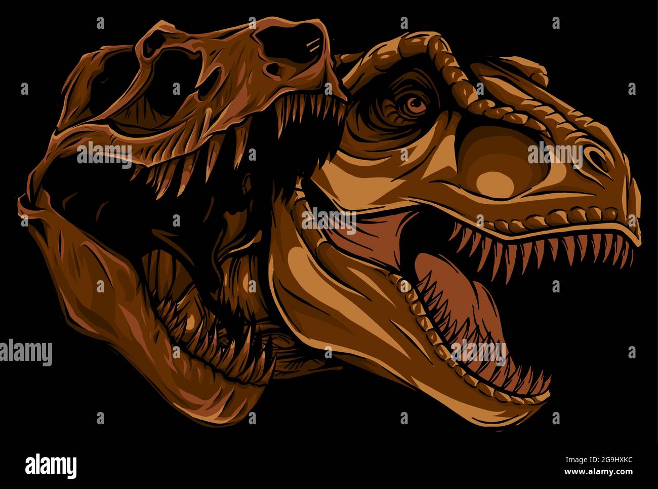 Tyrannosaurus rex with skull fossil vector illustration design Stock Vector Image & Art - Alamy