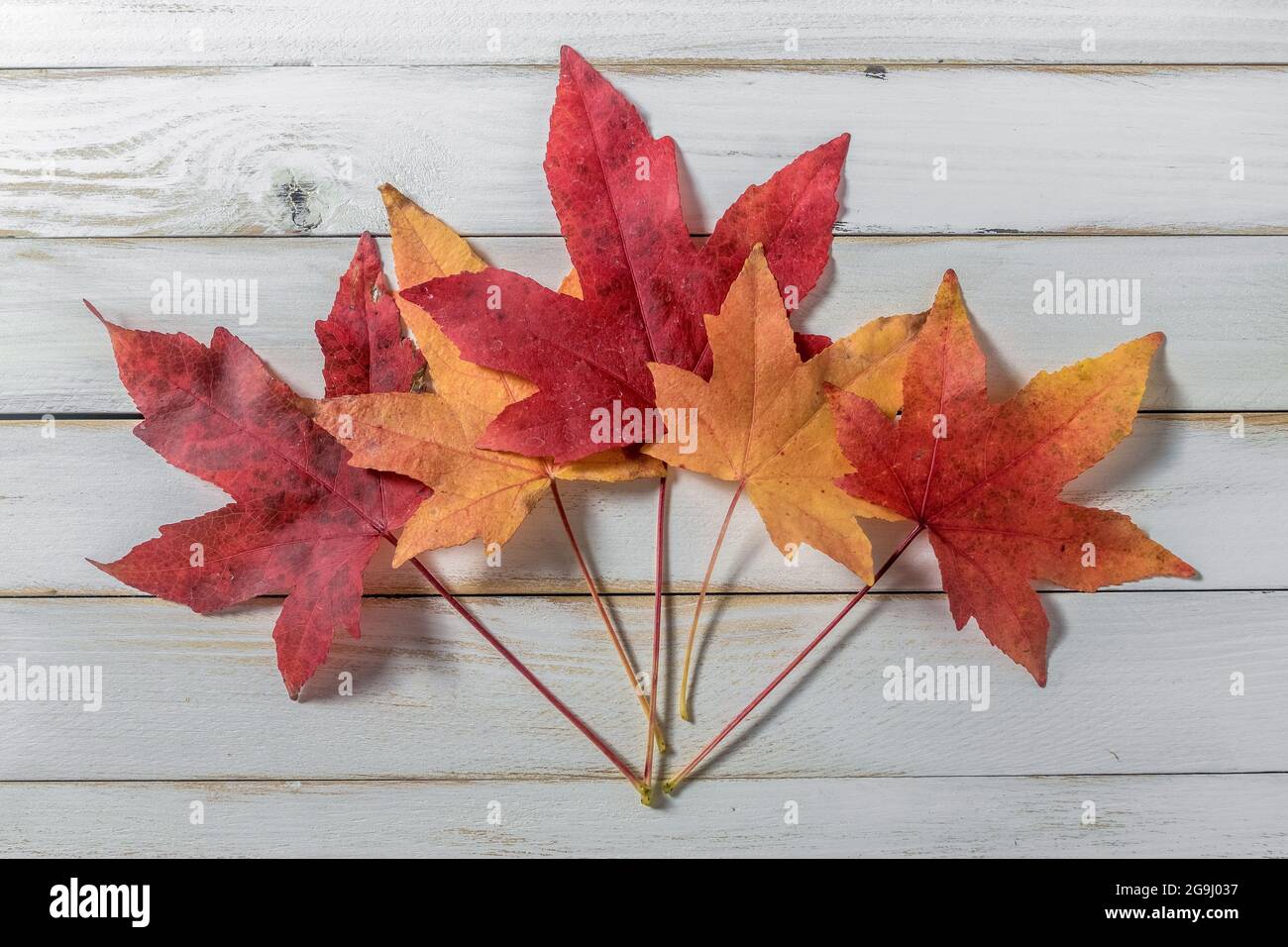 Graduated red background hi-res stock photography and images - Alamy