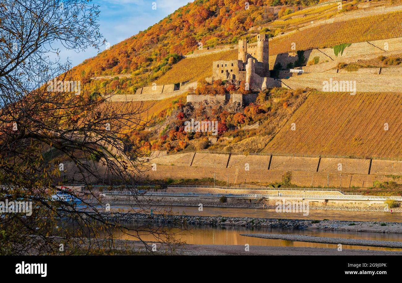 View of ehrenfels castle hi-res stock photography and images - Alamy