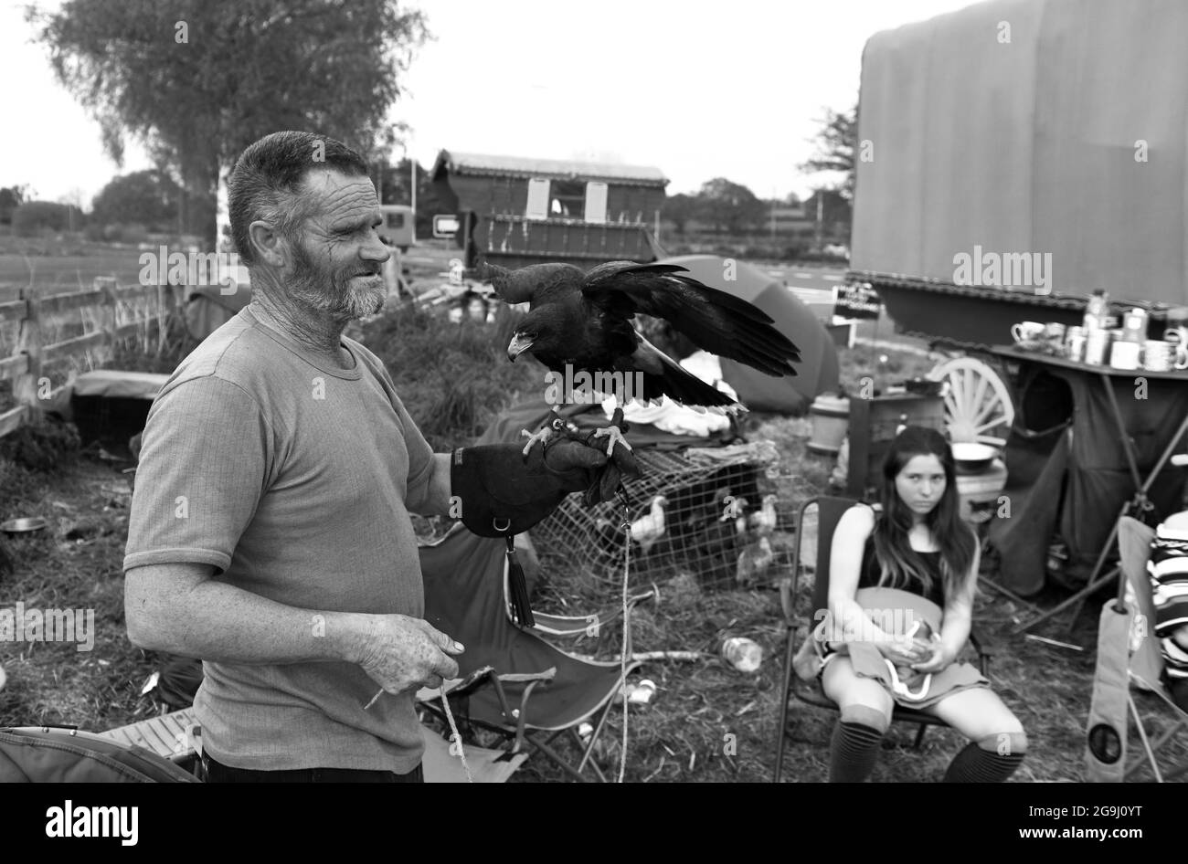 Romany traveller Percy Bennett with Harris Hawk used for catching ...