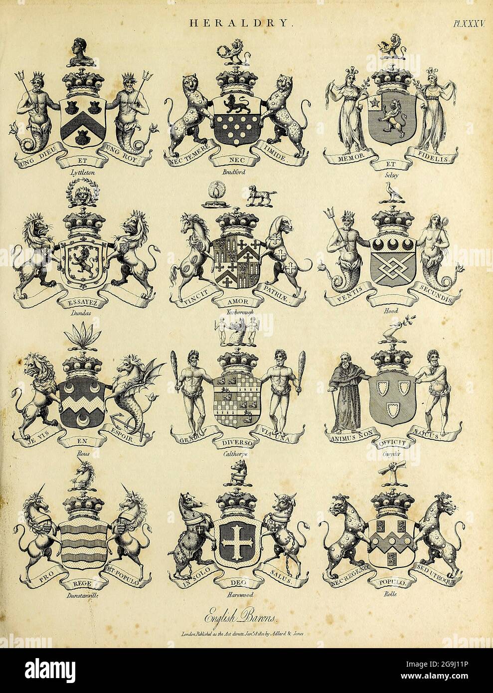 Heraldic Heraldry Motto High Resolution Stock Photography and Images ...