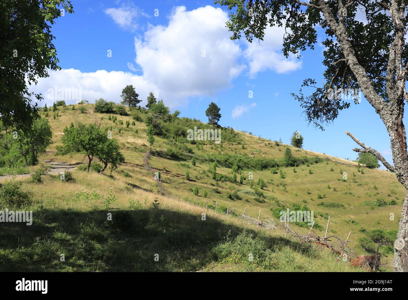 A beautiful colorful landscape in the mountains Konjuh Mountain in ...