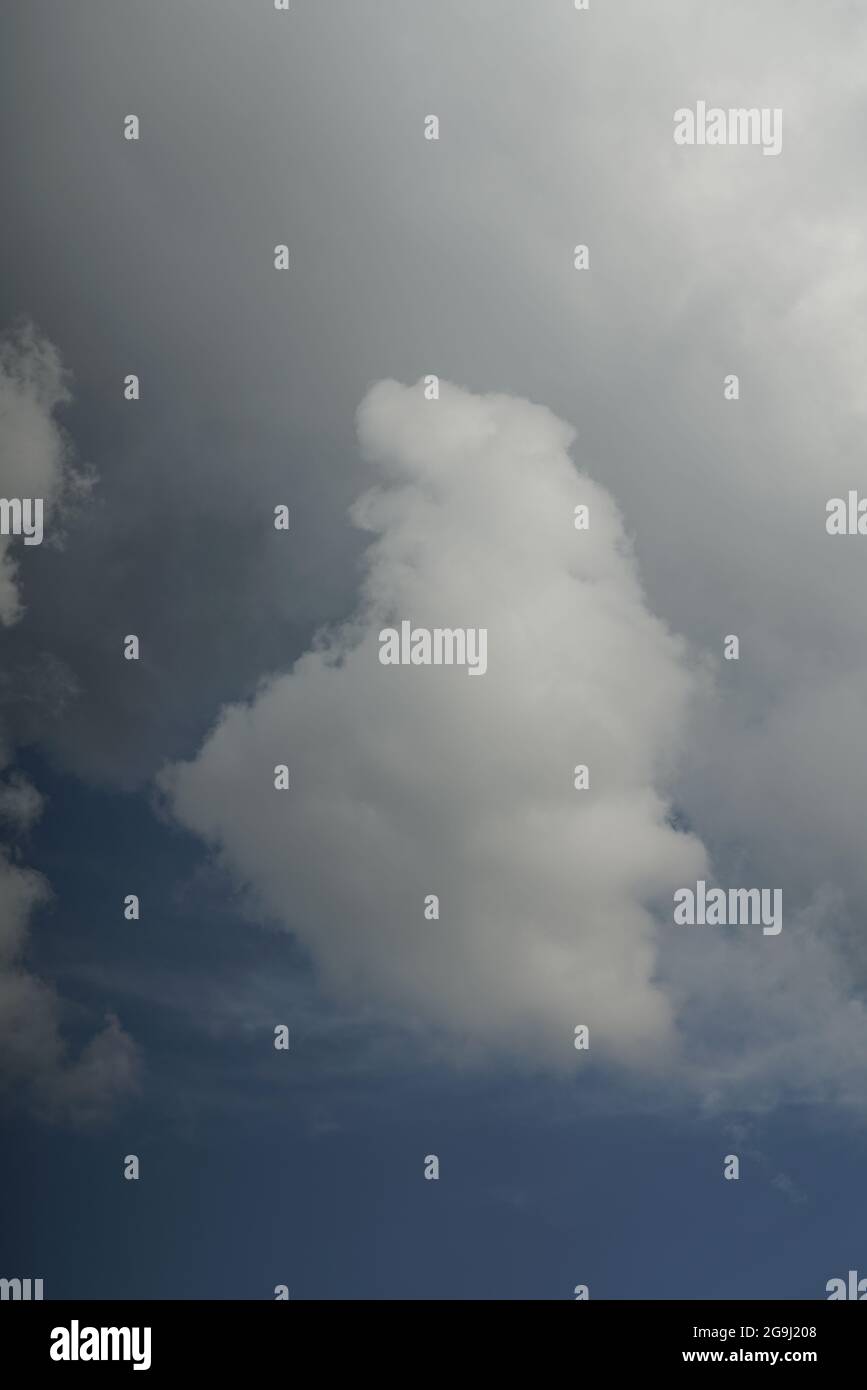 Cast all change cover hi-res stock photography and images - Alamy