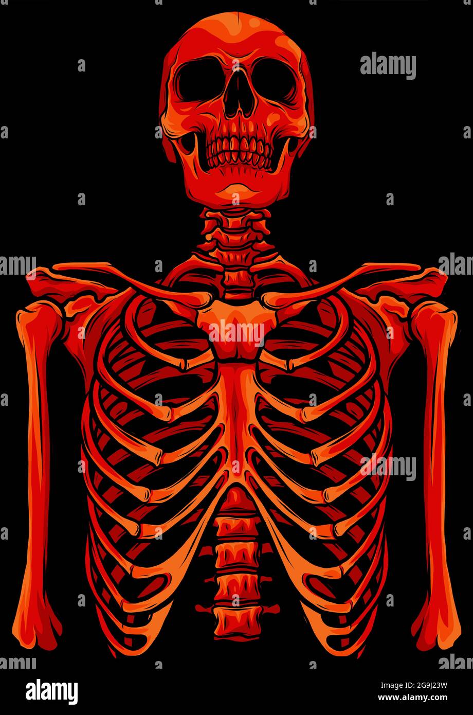 Human skeleton posing isolated on black background vector illustration ...