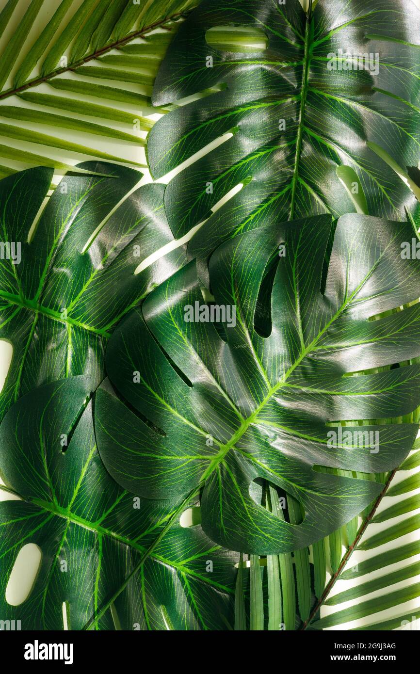 large green leaves, background Stock Photo - Alamy