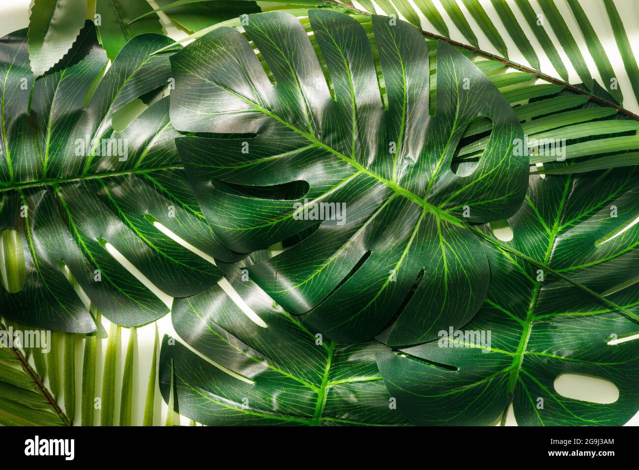 large green leaves, background Stock Photo - Alamy