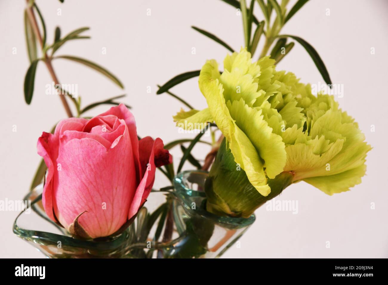 Pink rose bud and yellow/ green carnation used as buttonholes with ...