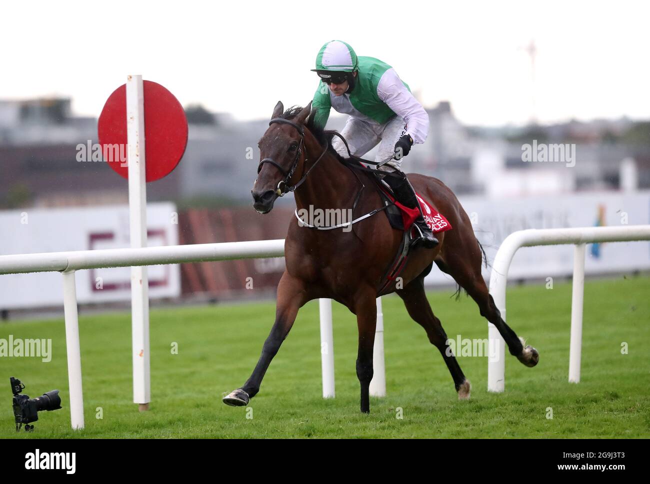 W p mullins horse hi-res stock photography and images - Alamy