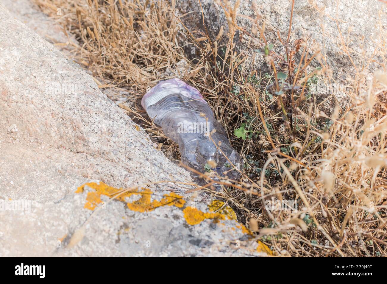 crumpled plastic bottle on the field,environmental pollution Stock ...