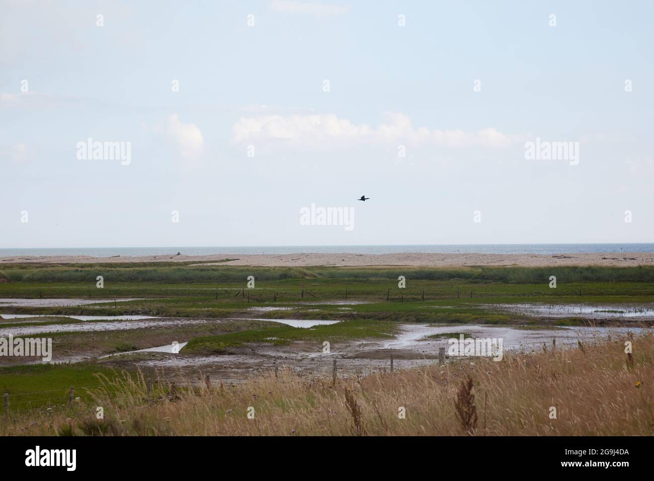 Medmerry nature Reserve wetlands Stock Photo - Alamy