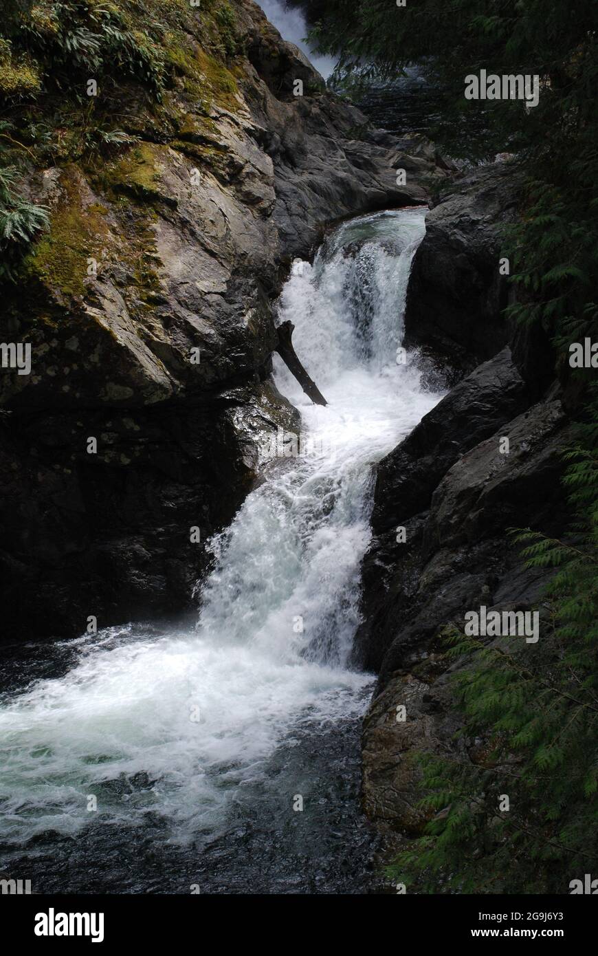 Waterfalls in the Cascade Mountains Stock Photo - Alamy
