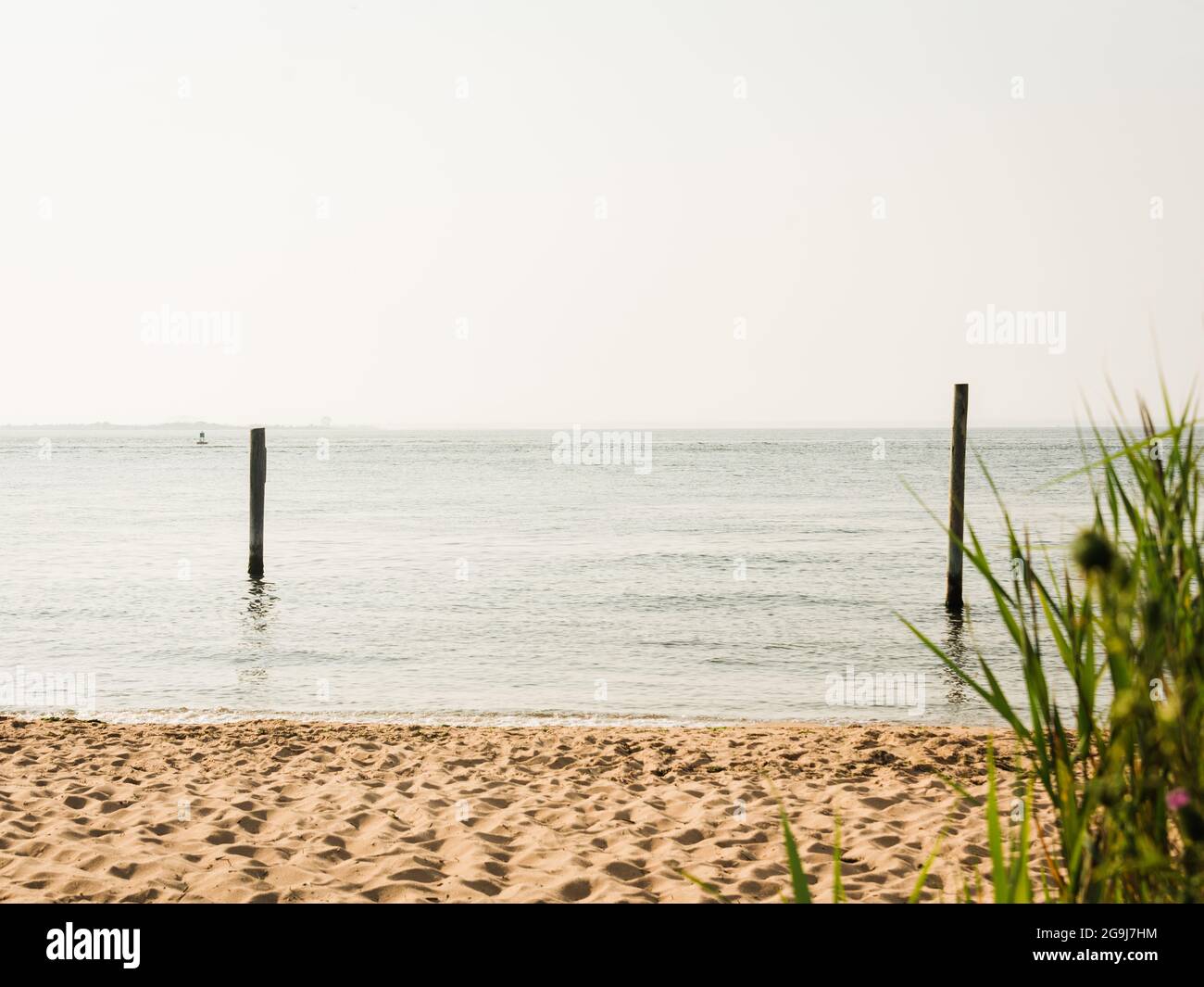 Posts in the water and a beach on Fire Island, New York Stock Photo - Alamy