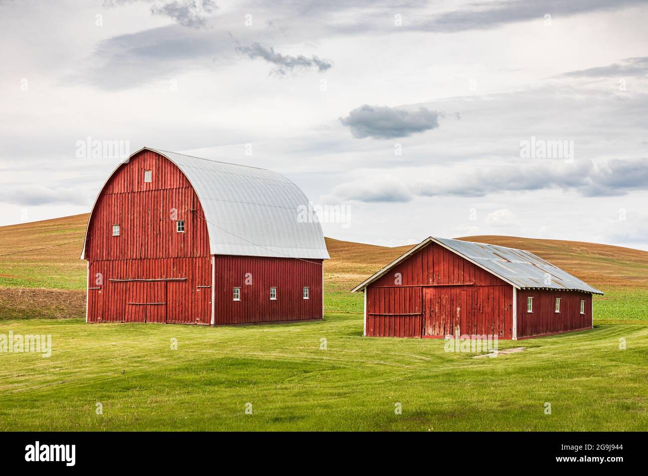 Wheat farm usa 2021 hi-res stock photography and images - Alamy
