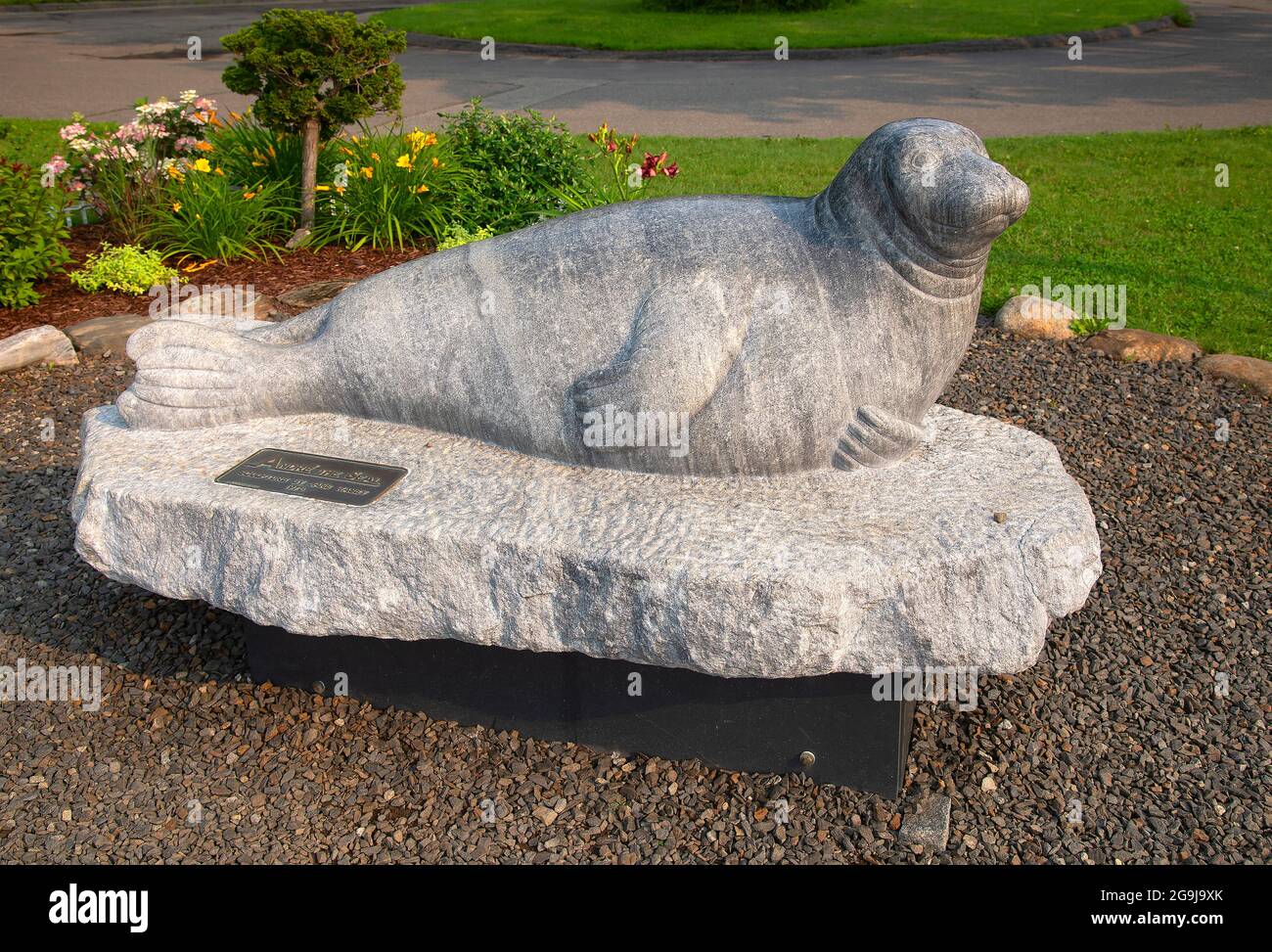 The Real Andre The Seal