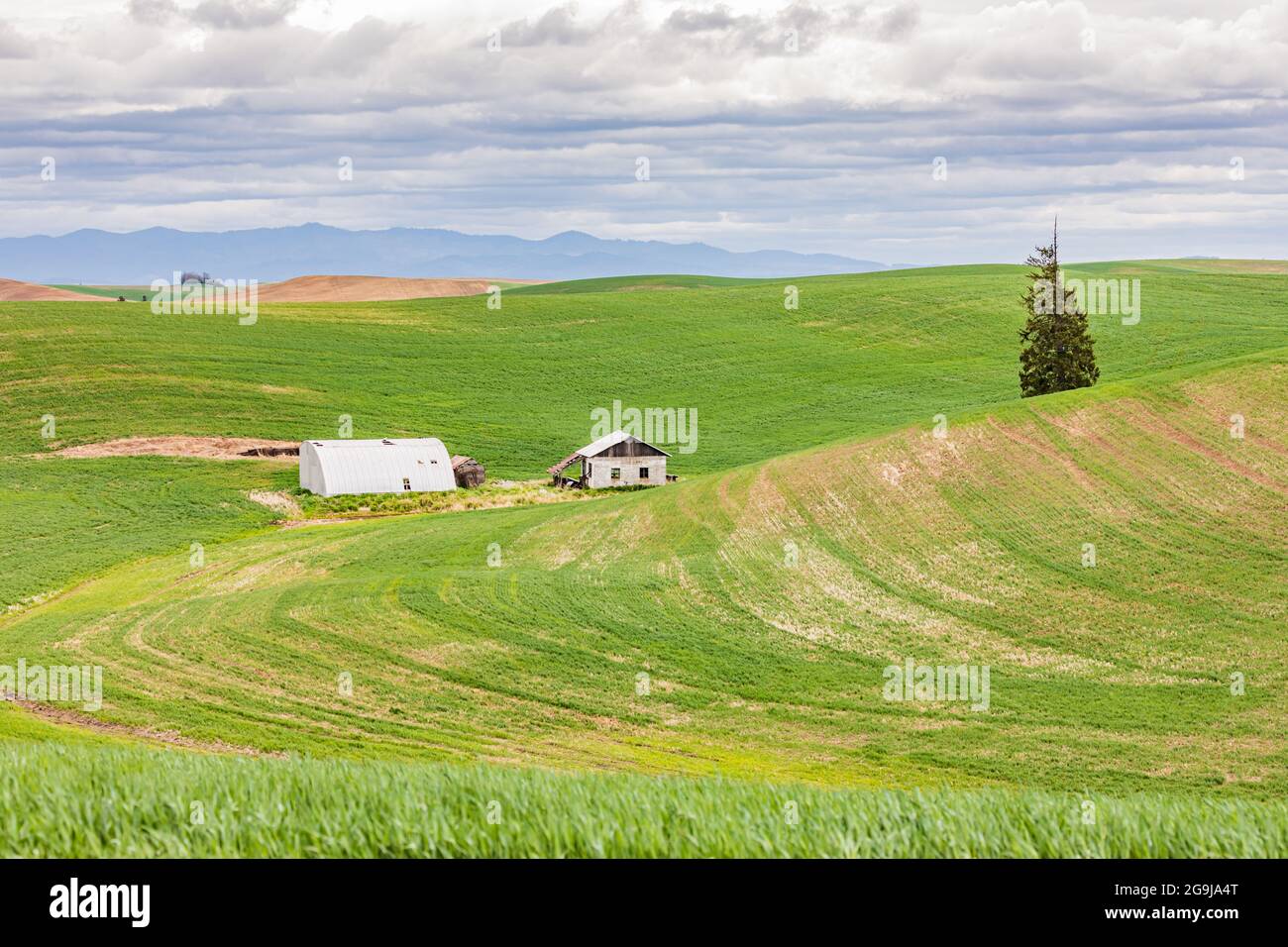 Abandoned farm house palouse hi-res stock photography and images - Alamy