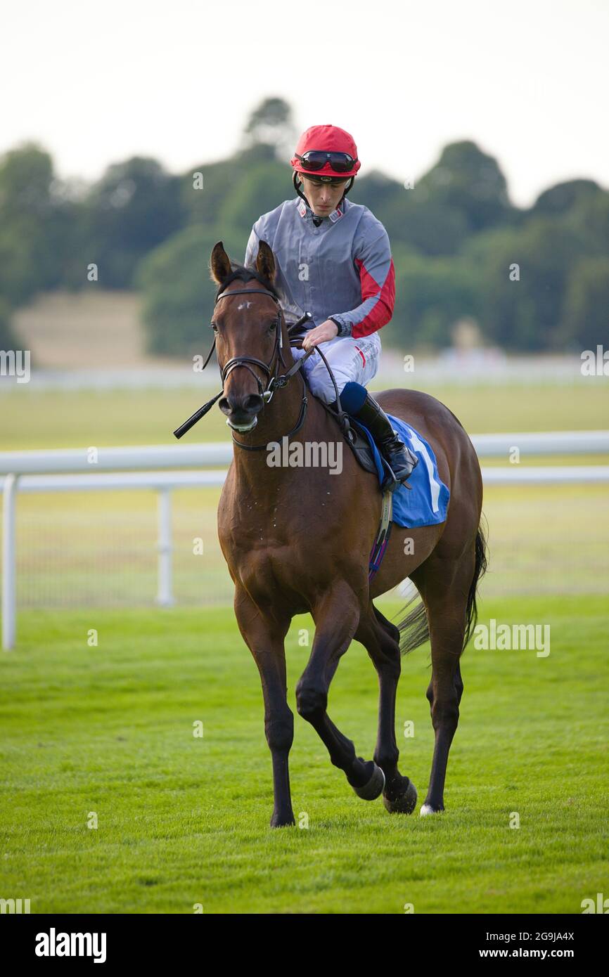 Rowan scott jockey hi-res stock photography and images - Alamy